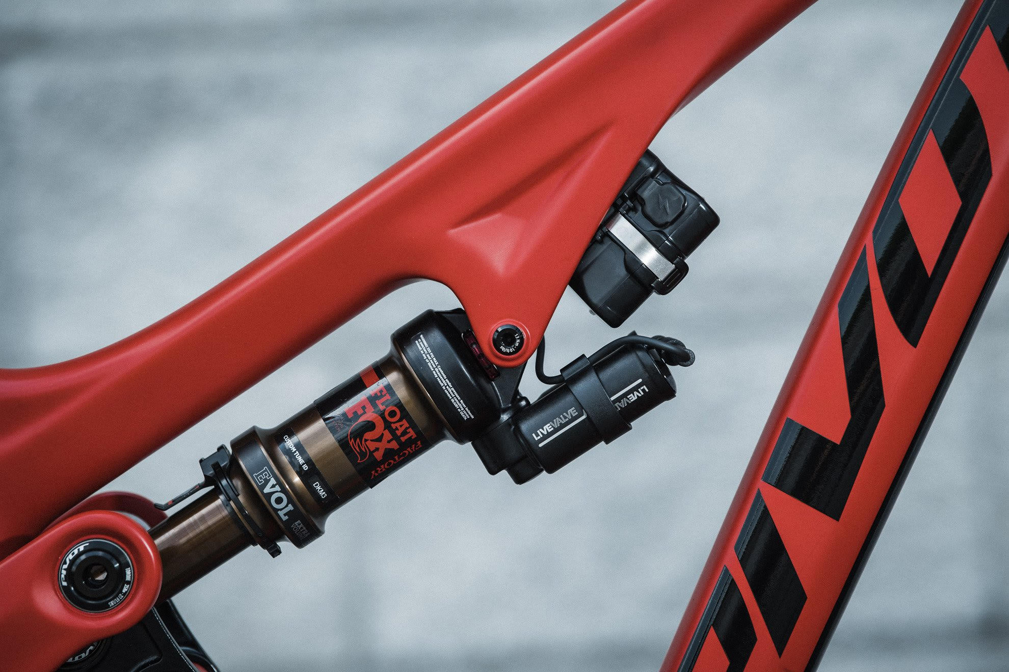 Fox goes Live (Valve) - Velozine